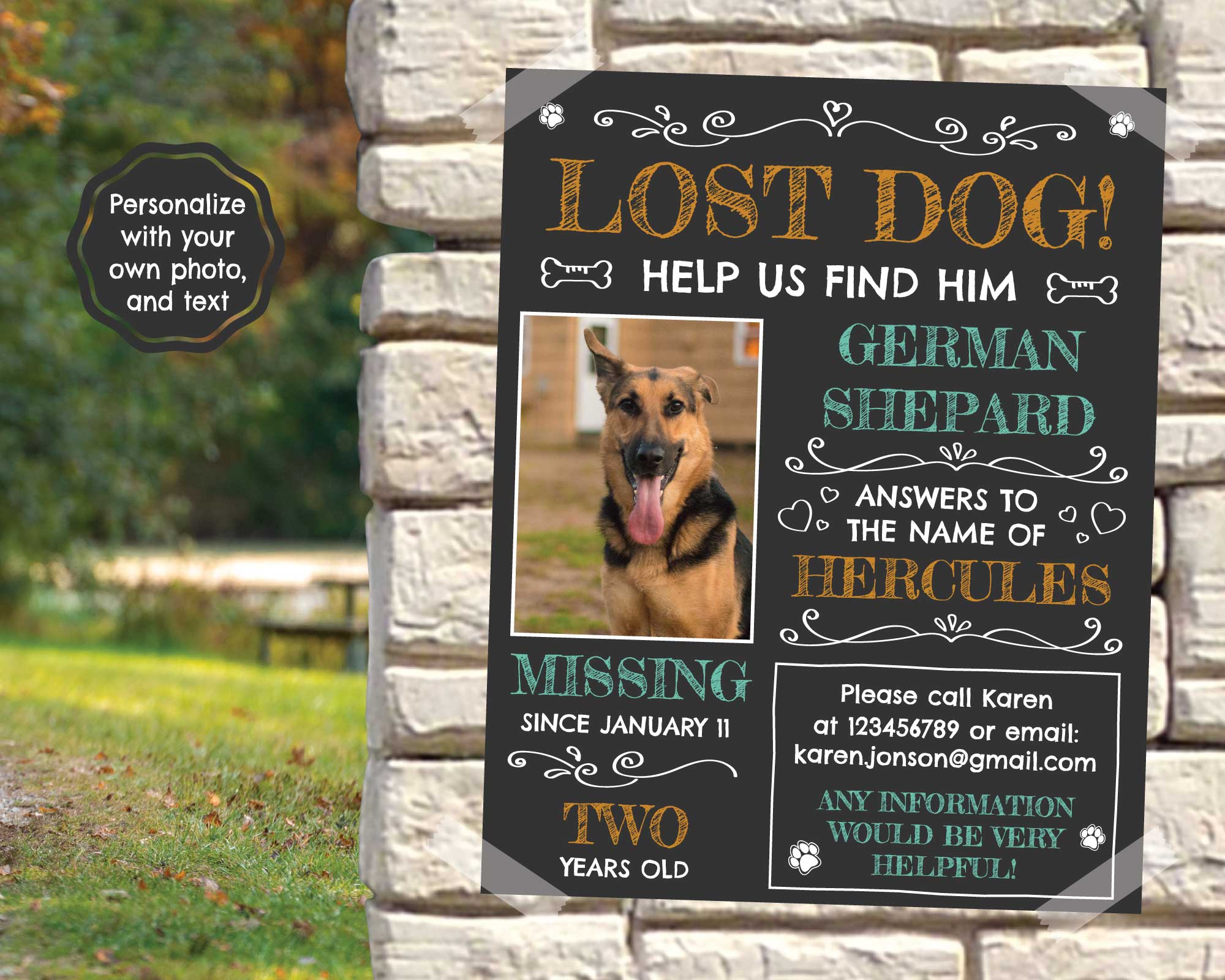 Missing Dog Sign How To Find A Lost Pet | Healthy Paws Pet Insurance